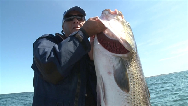 Trev Gowdy's Monster Fish - Outdoor Channel